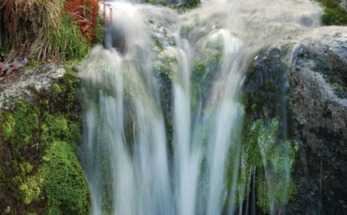 The end of the waterfall: Industry faces up to CCP recovery and ...